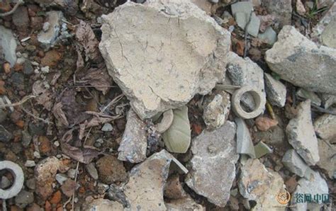 浙江古代名窑白泥岭窑址和前王山窑址