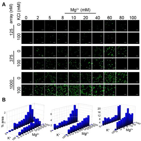 Reconstituted Nucleosome Arrays Undergo Llps In A Salt Dependent Download Scientific Diagram
