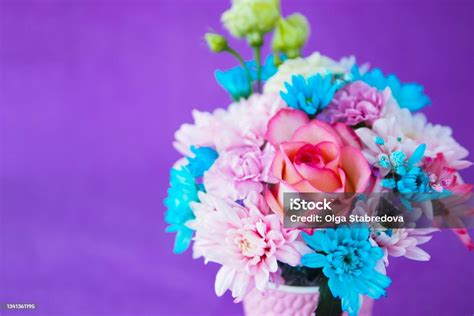 보라색 배경에 원에 꽃의 귀여운 배열 복사 공간을 복사합니다 거베라데이지에 대한 스톡 사진 및 기타 이미지 거베라데이지 꽃
