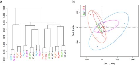 A Correlation Clustering And B Principal Component Analysis Pca Run Download Scientific