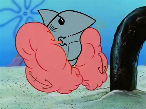 Donald The Shark In The Anchor Toss By Sandypantybuffpants On Deviantart