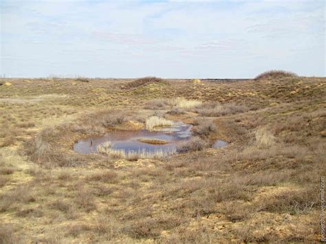 Природа Астраханской области Geoserzh — Livejournal