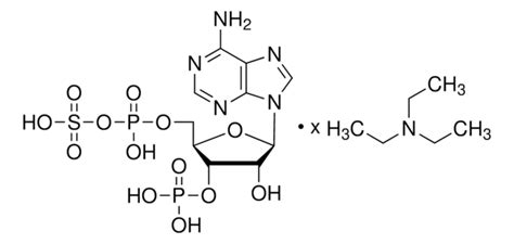Hplc Sigma Aldrich