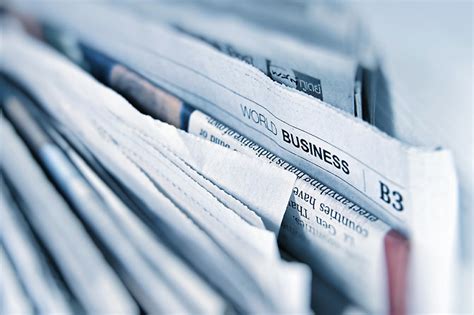 “어떻게 이렇게 싱싱해요” 주부들 깜짝 놀란 ‘항산화 성분 지키는 대파 보관 꿀팁 오늘뭐먹지