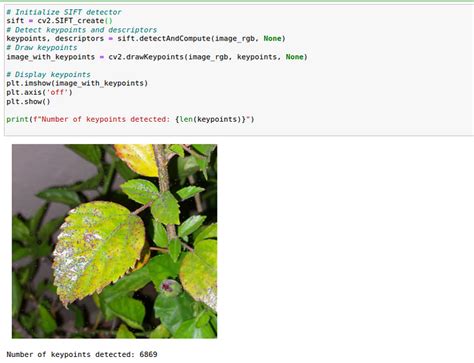 使用python进行图像特征提取【2】：sift、orb、纹理特征提取、lbppython 实现lbp特征提取 Csdn博客