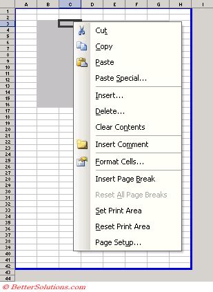 Excel Layout Page Break Preview