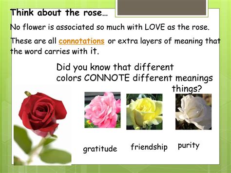 Connotation Denotation Definition Examples Video Lesson 44 Off