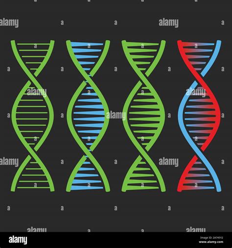 Dna Set Colored 01 Stock Vector Image Art Alamy