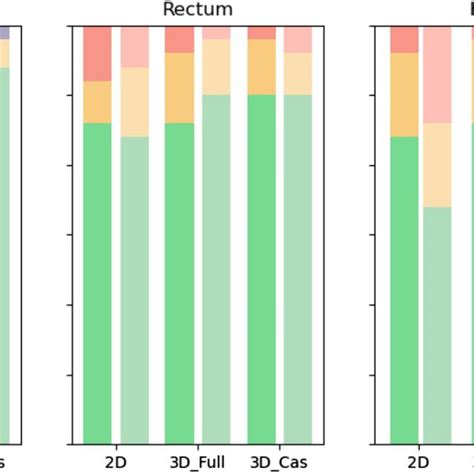 Two Radiation Oncologists Evaluated Qualitative Segmentation Results A