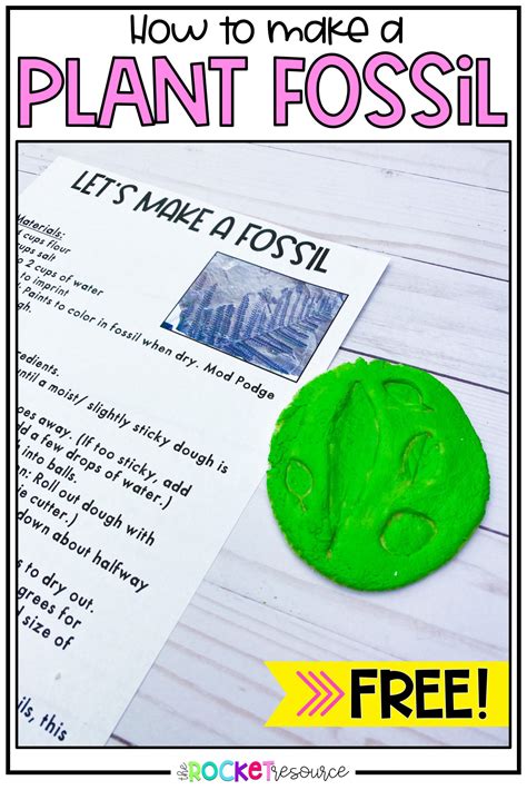 How To Make A Plant Fossil The Rocket Resource