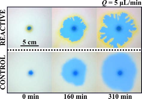 Comparison Between A Reactive Upper Row And Non Reactive Lower Row