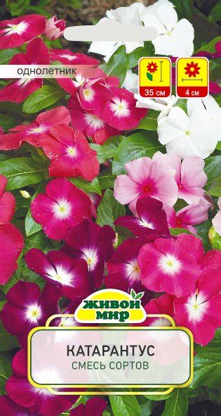 Купить семена Катарантус смесь сортов (W. Legutko) 0,1 г, РБ по цене 0. ...