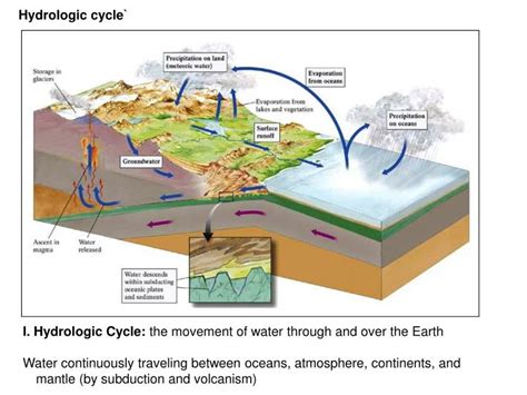PPT Hydrologic Cycle PowerPoint Presentation Free Download ID