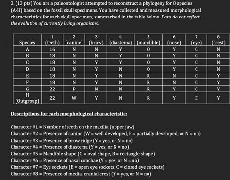 Instructions For Phylogeny Reconstruction 1 Look At