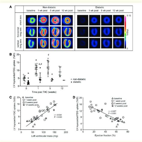 Tac Lowered Levels Of Mitochondrial Proteins Involved In Fao Tca Cycle