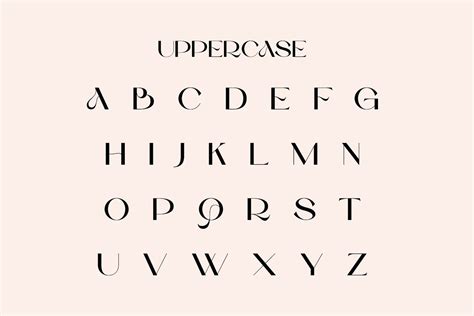 Stylish Display Typeface On Behance
