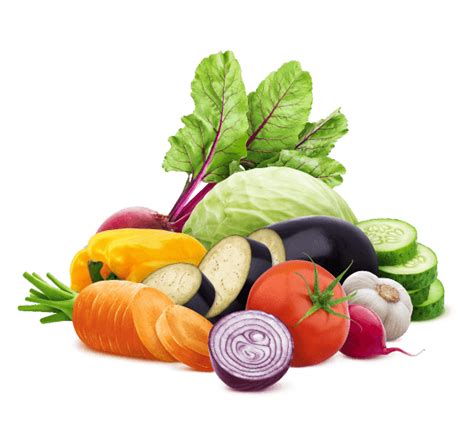 Vegetable Seeds Torseed