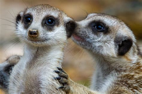 Medidas Para La Conservación Del Medio Ambiente Mundomar