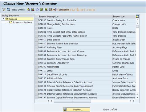F9s5 Sap Tcode Ca Control Screens