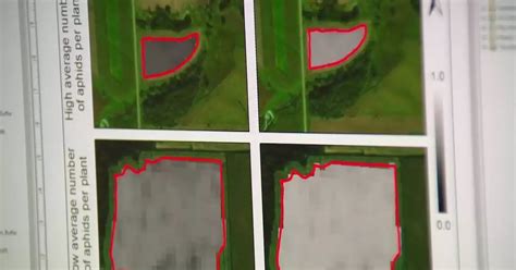 Using Artificial Intelligence And Satellites U Of Ainave