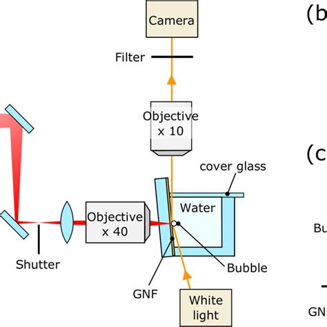 A Schematic Drawings Of The Experimental Setup The Laser Irradiation