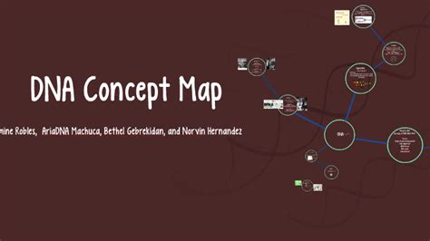 Dna Concept Map By Jasmine Robles On Prezi