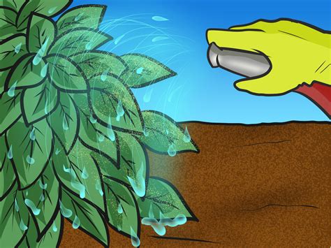 How To Adjust Soil PH 10 Steps With Pictures WikiHow