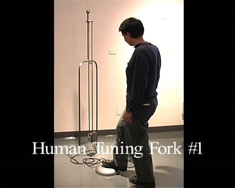 Human Tuning Fork 1 TERRY BERLIER