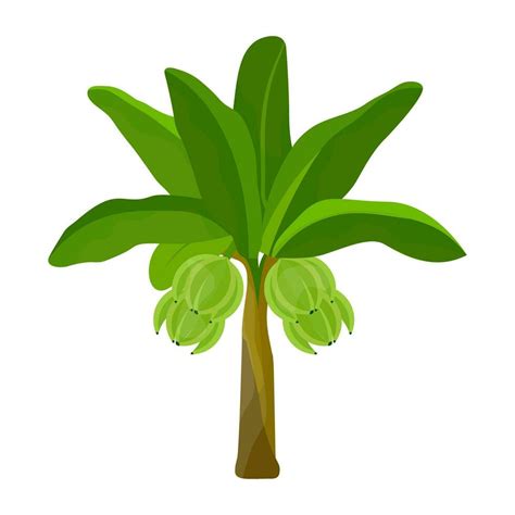 Flat Tree Icon Vector Art At Vecteezy