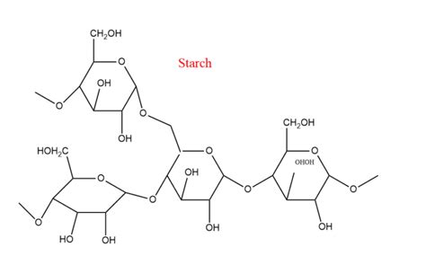 Polysaccharide Definition Classification And 4 Reliable Function
