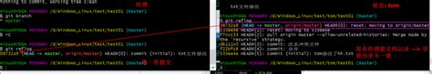Git Your Branch And Originmaster Have Diverged 个人文章