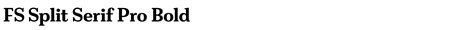 Fs Split Serif Font Webfont And Desktop Myfonts