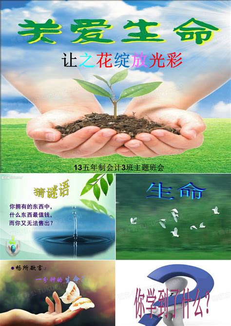 生命教育主题班会课件PPT模板下载 编号qdmwzjrl 熊猫办公