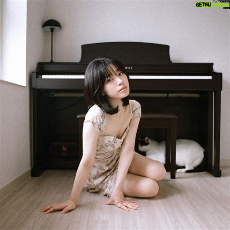 Shin Se Hwi Wiki Biography Age Gallery Spouse And More