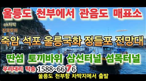 울릉도 천부에서 관음도 갈라고 매표소까지 Ok차박전국투어 죽암 석포 울릉국화 정들포전망대가 보이고 딴섬 토끼바위 삼선터널 선목터널 관암도 매표소까지 왔어요 Ok차박드론