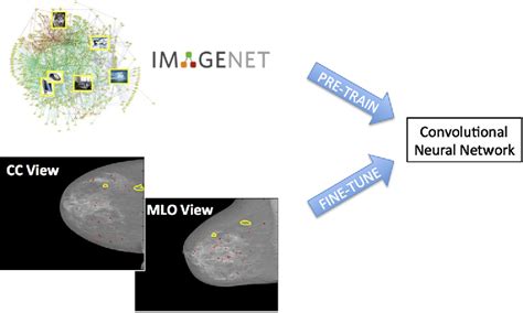 Figure 141 From Deep Learning Models For Classifying Mammogram Exams