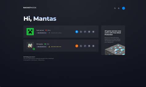 Rocketnode Rocketpanel Pterodactyl Redesign By Mantas Vilčinskas On Dribbble