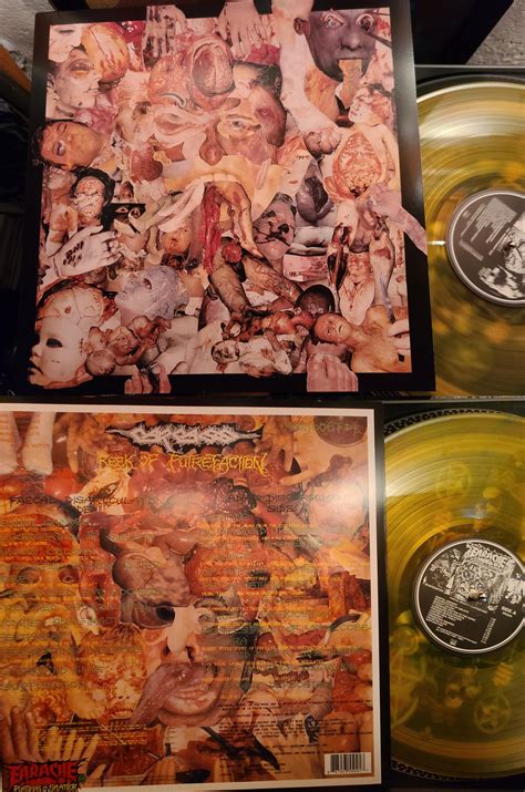 Carcass 💀 Reek Of Putrefaction Limited Vinyl Reissue In Black Bag With Original Art Poster