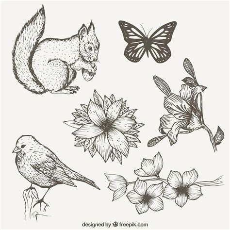 How To Draw Animals In Nature
