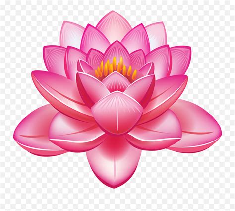 Lotus Flower Emoji Iphone Best Flower Site