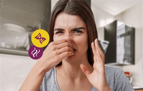 ¿olor A Cucaracha Entiende Por Qué Solo Algunas Personas Perciben Este Olor Genera