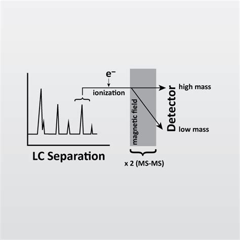 Lc Ms Diagram Ms Schematic Msms Mycotoxins Cereals Reproduce