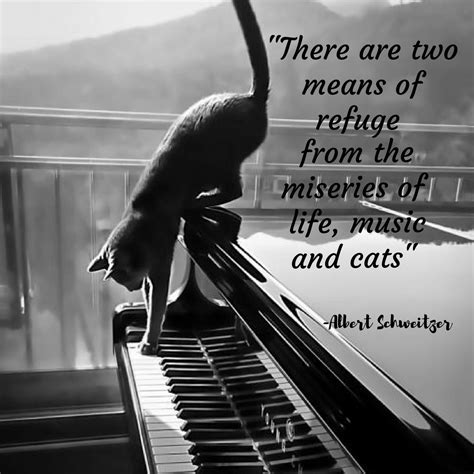 Discover 45 Cat Memes And Quotes And Cat Memes Ideas Cats Memes Quotes