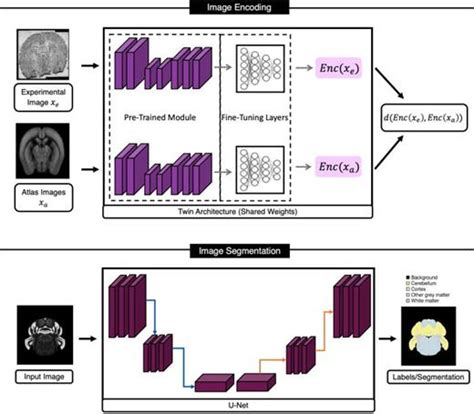 Deep Learning In Spatial Transcriptomics Learning From The Next Next