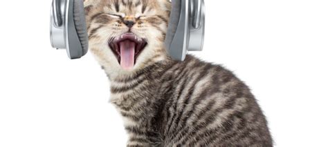 coalesce nullif and isnull function in sql bytescout