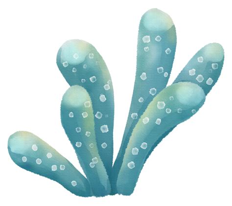 Under The Sea Watercolor Clipart Png 16626899 Png