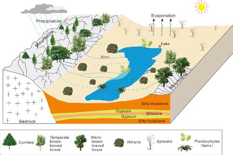 Palaeoenvironmental Reconstruction Of The Late Eocene Ria Zhong Rz