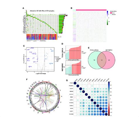 Characterization Of Prognosis Related Pmgs In Bc Patients A The