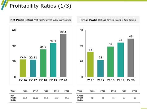 Profitability Ratios Template 2 Ppt Powerpoint Presentation Show Portfolio