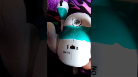 Pictures Of Kitty Fox